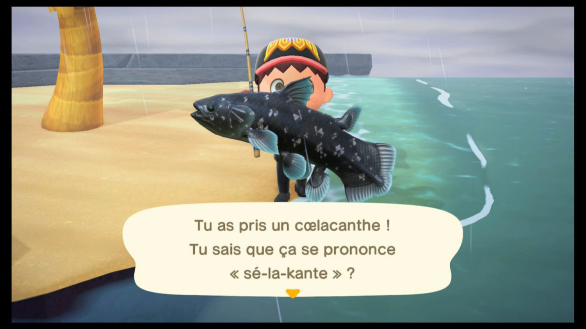Quel est l’animal le plus rare d’Animal Crossing ? – SOS Ordinateurs : Guides, Trucs & Astuces ...