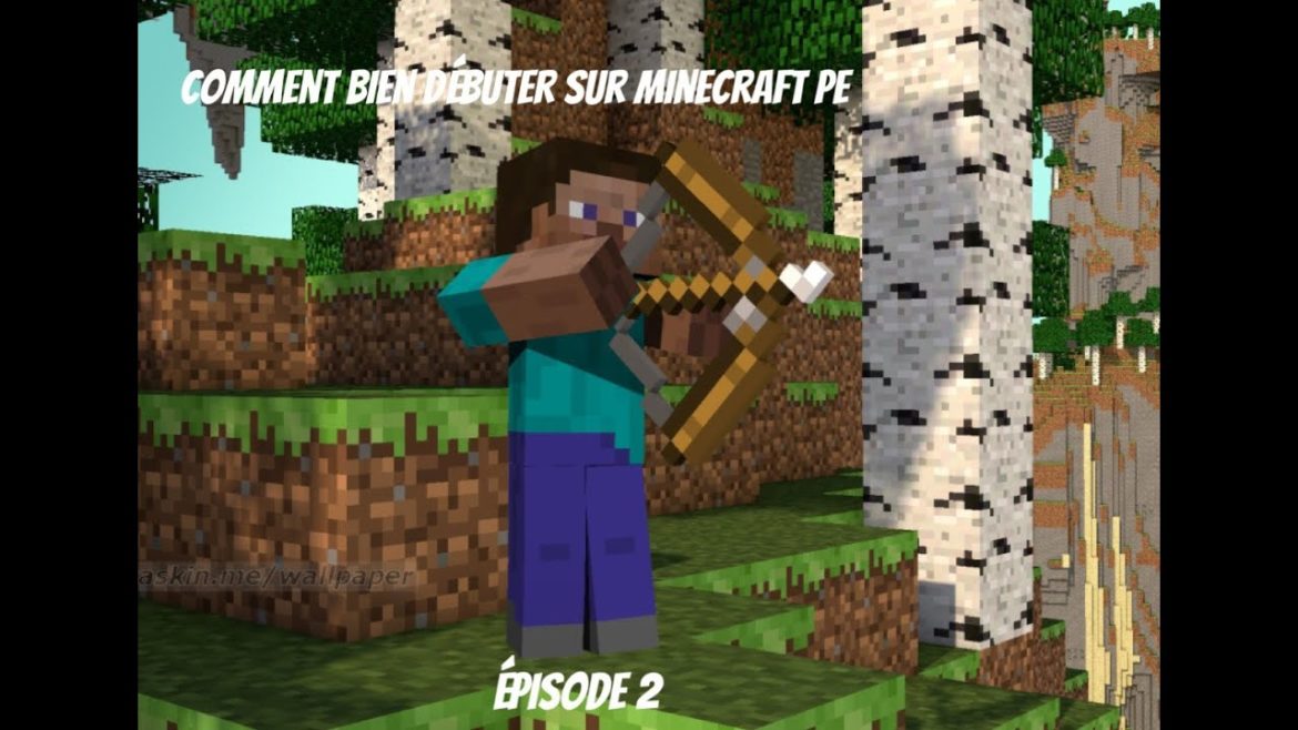 Comment bien débuter sur Minecraft ? – SOS Ordinateurs : Guides, Trucs ...