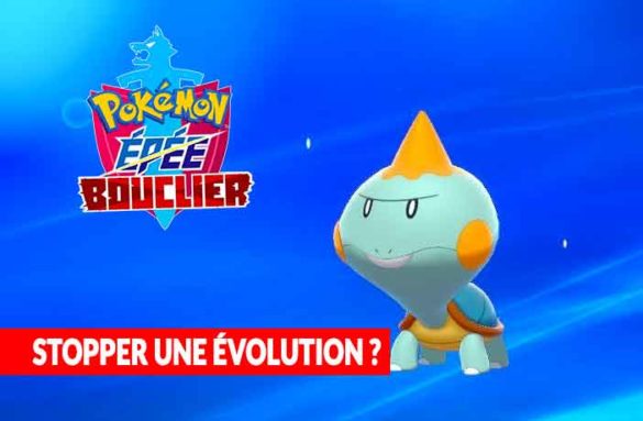 Comment Faire évoluer Un Pokémon Avec Une Pierre Sos Ordinateurs