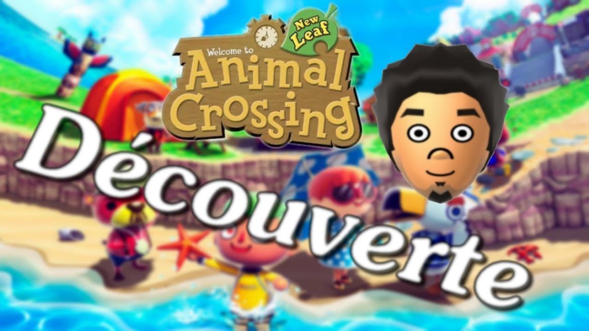 Quel est le meilleur Animal Crossing sur DS ? – SOS Ordinateurs : Guides, Trucs & Astuces pour ...