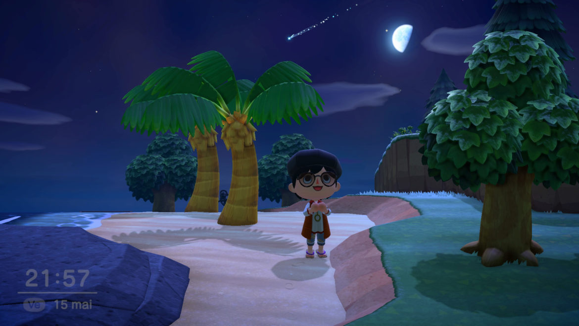 Quels sont les habitants les plus rares dans Animal Crossing New Horizon ? – SOS Ordinateurs ...