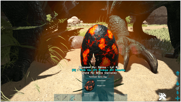 Comment lancer des bolas ? – SOS Ordinateurs : Guides, Trucs & Astuces ...