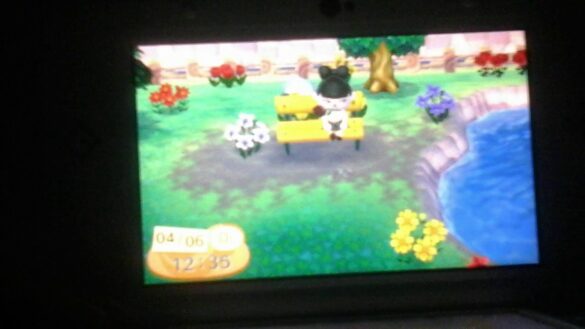 Comment être en couple sur Animal Crossing New Horizon ? – SOS Ordinateurs : Guides, Trucs ...