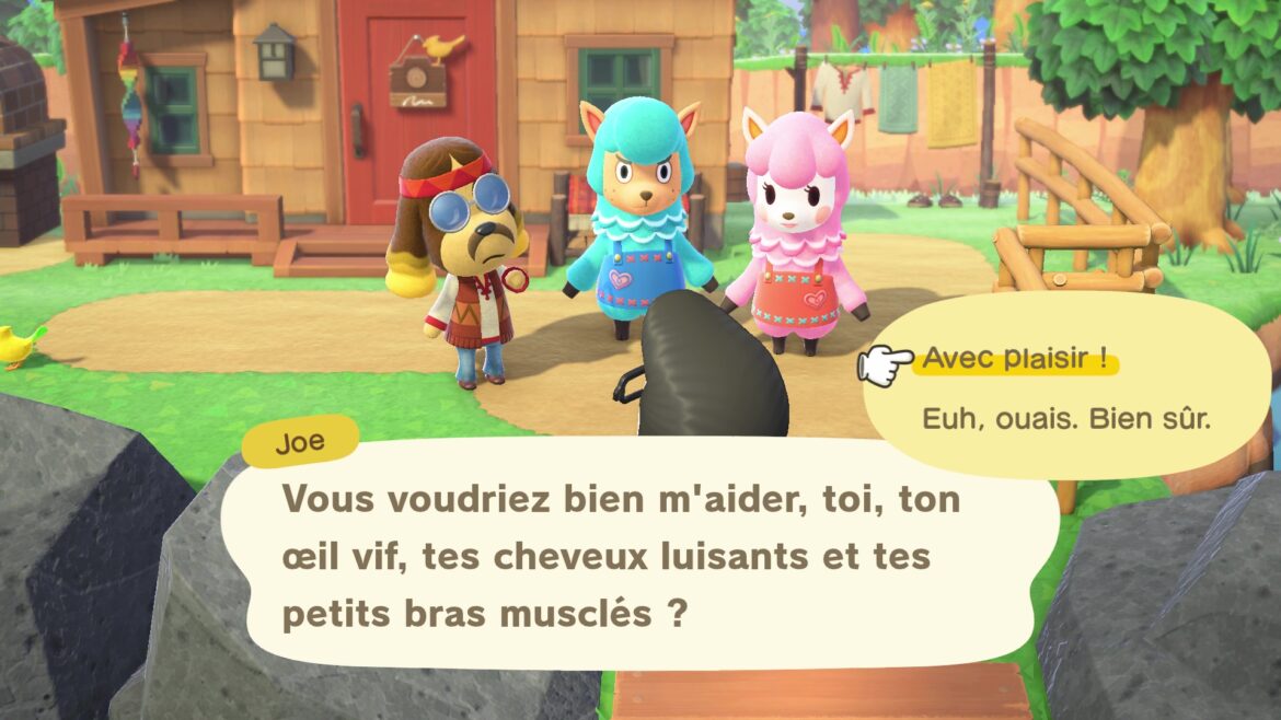 Où prendre le bateau sur Animal Crossing ? – SOS Ordinateurs : Guides, Trucs & Astuces pour ...