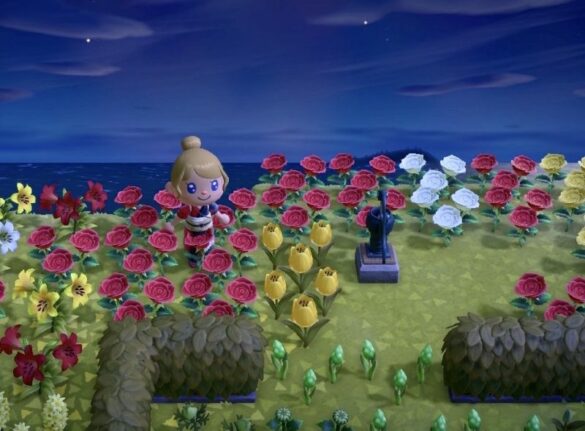 Comment faire pour qu’il pleuve dans Animal Crossing New Horizon ? – SOS Ordinateurs : Guides ...